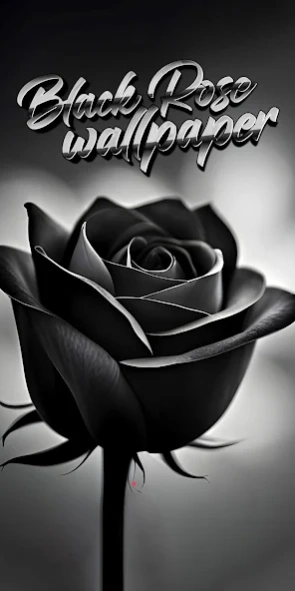 black rose effect