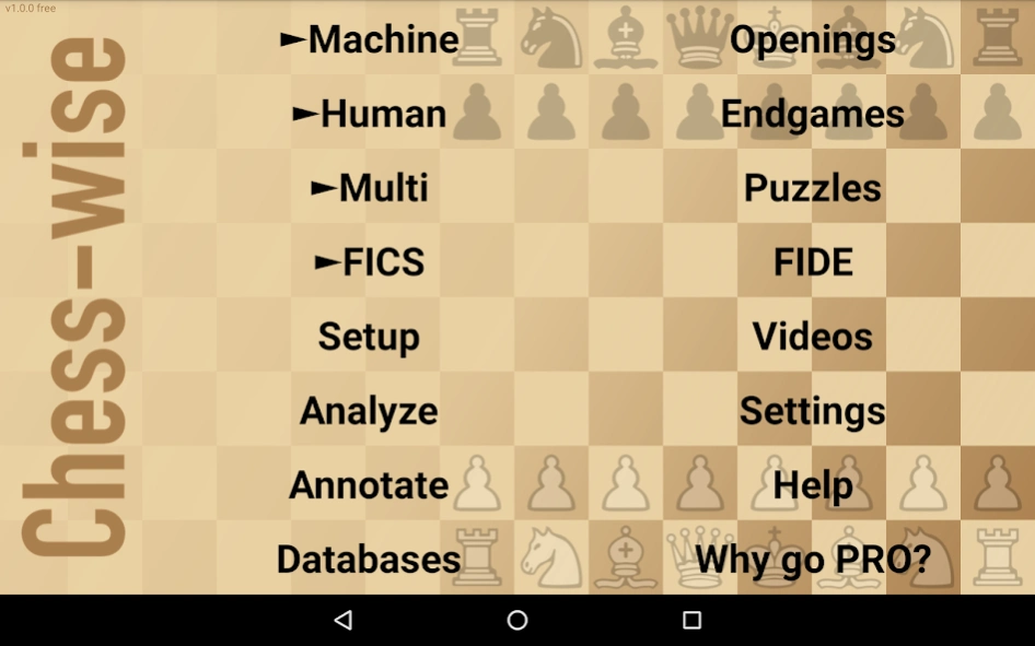 chess wise