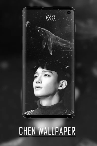 chen exo wallpaper