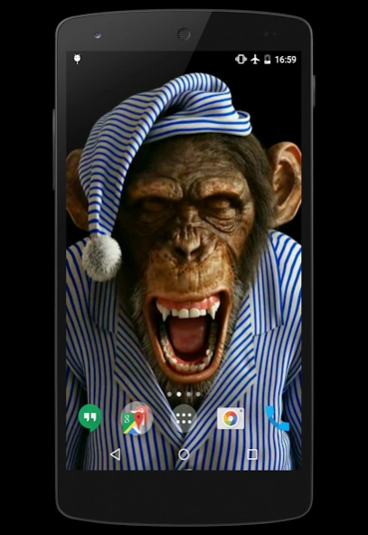 funny monkey wallpaper iphone