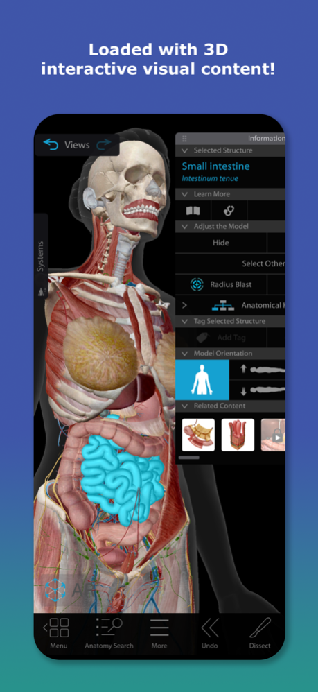 3d interactive body