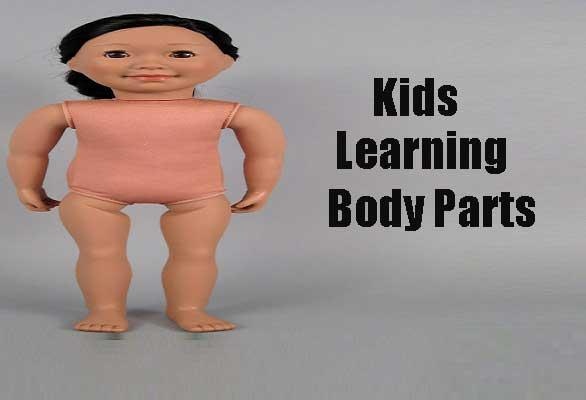 Kids Learning Body Parts Name 0 0 Free Download