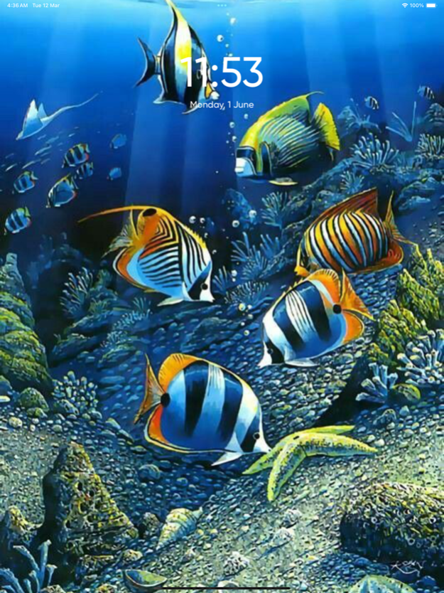 animated wallpaper fish aquarium