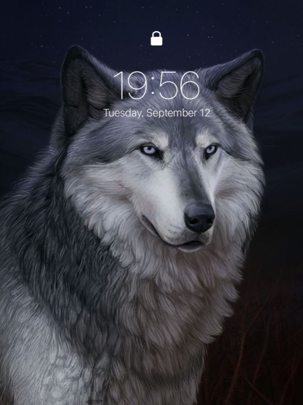 lone wolf wallpaper
