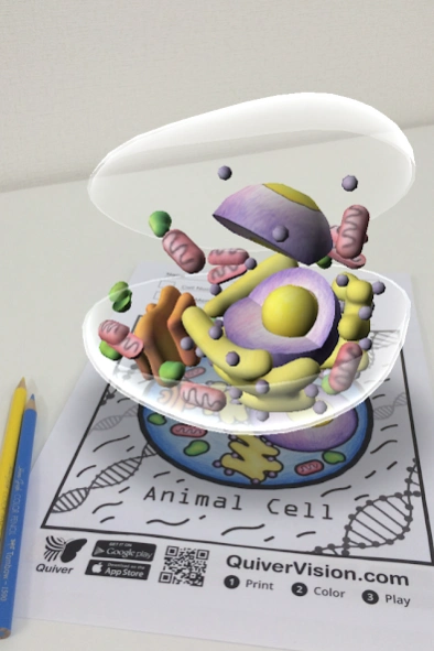 3d coloring pages app