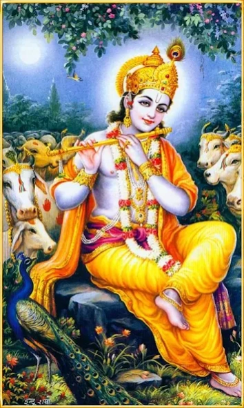 krishna god hd wallpaper