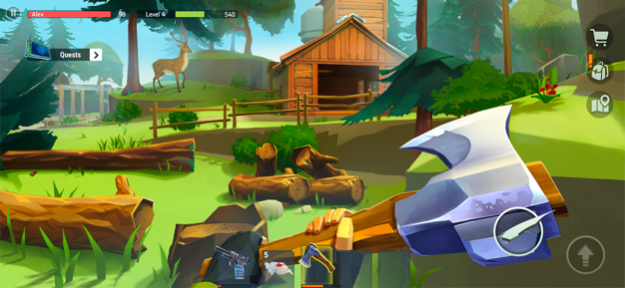 fallen branch summertime