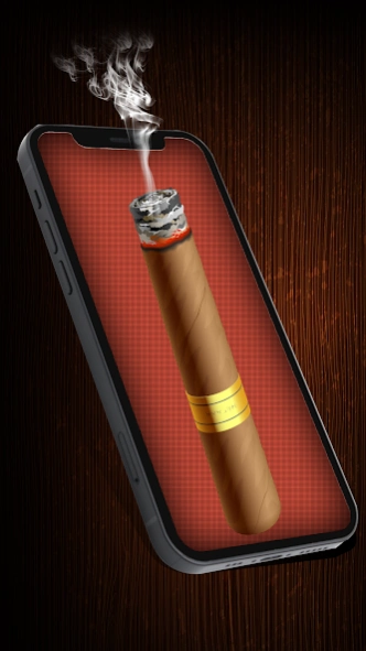 cigar simulator
